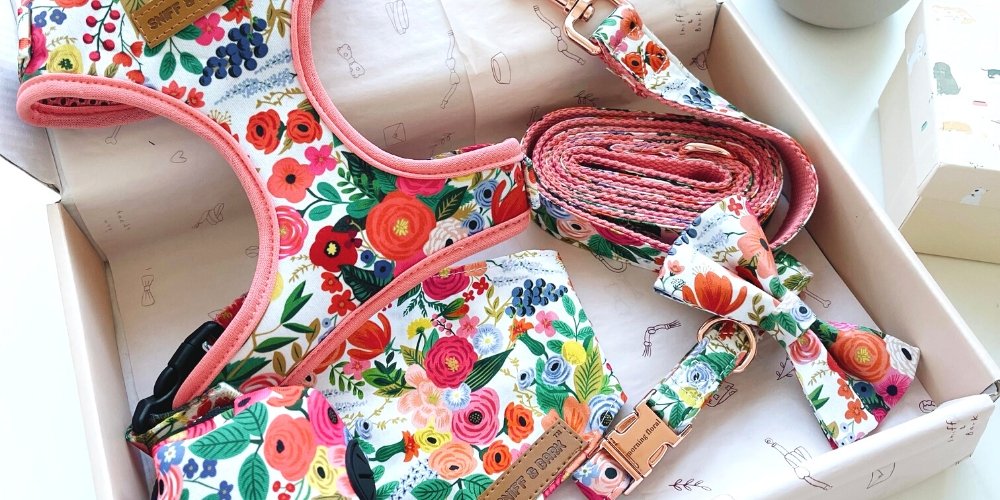Best Dog Accessorize: Bandanas, Harness, Collars & Leashes – Sniff & Bark
