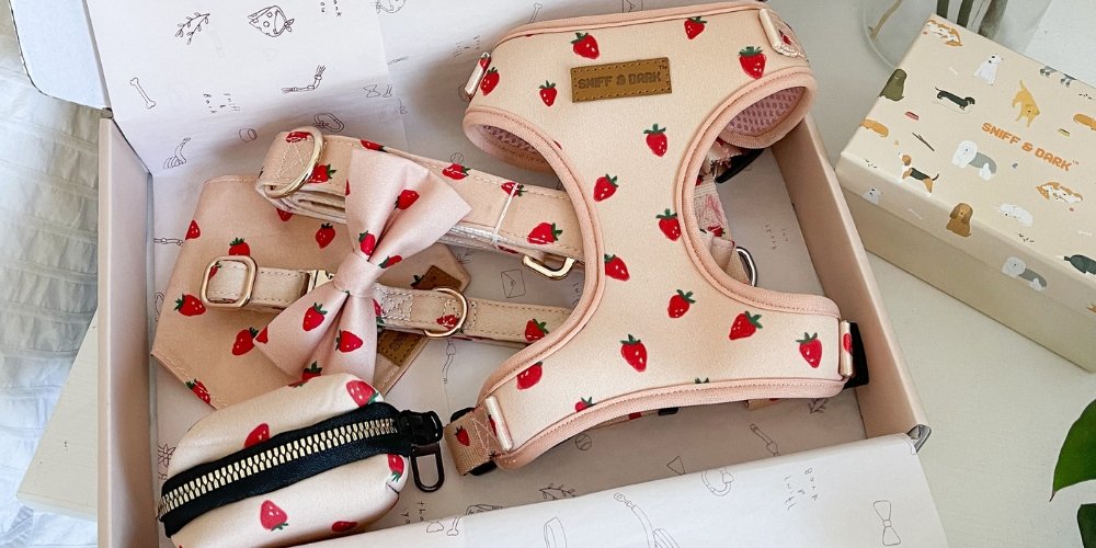 Best Dog Accessorize: Bandanas, Harness, Collars & Leashes – Sniff & Bark