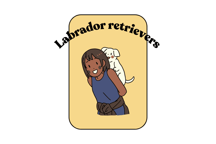 Oddball Facts About the Lovable Lab – Sniff & Bark