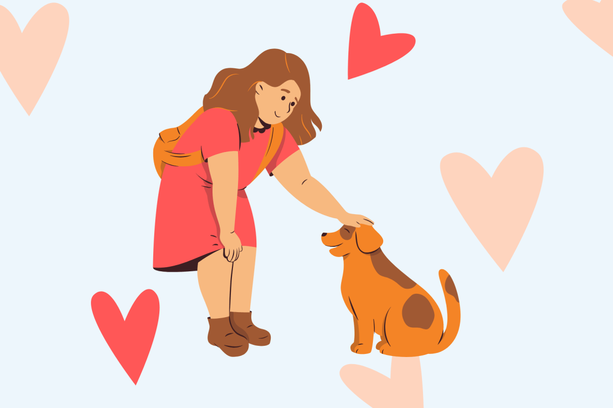 How to Ease Your Dog's Separation Anxiety – Sniff & Bark