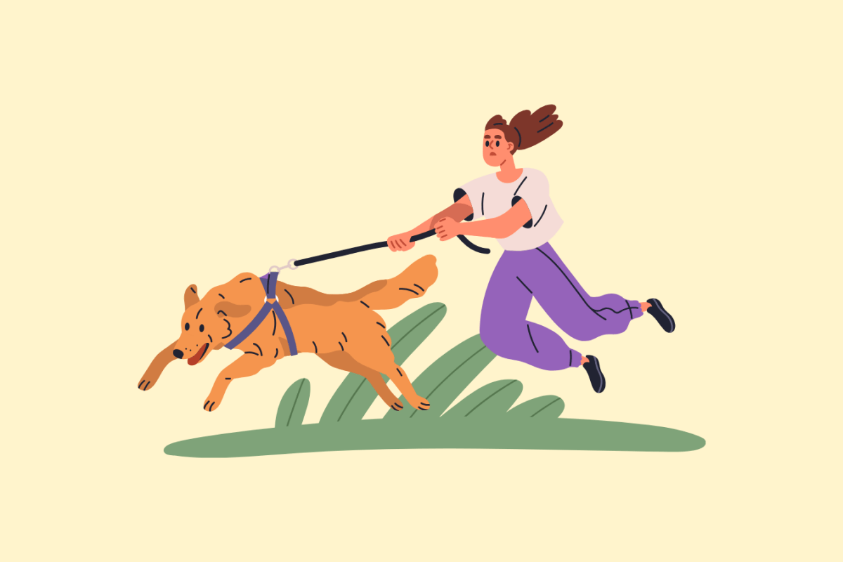 Why Dogs Pull on Walks (And How to Gently Help Them Stop) – Sniff & Bark