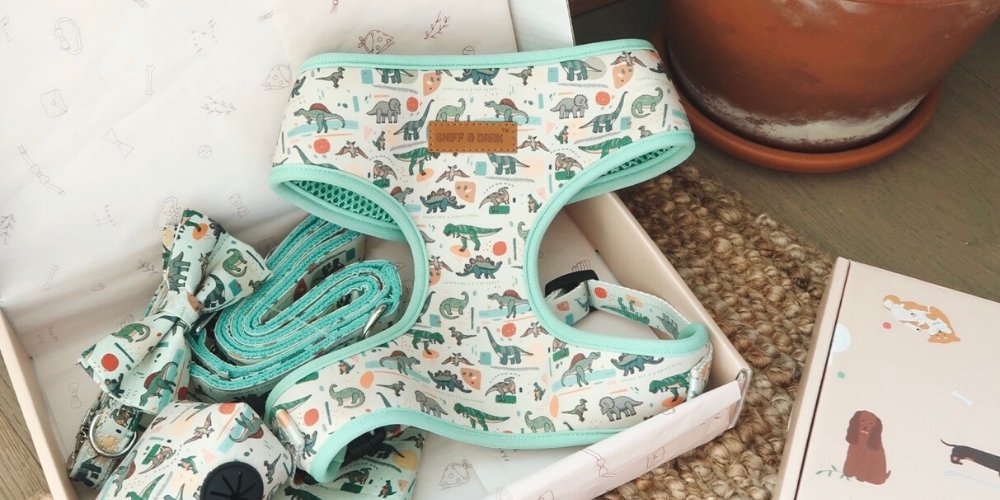 Mint Snappy Dino Dog Accessorize: Bandanas, Harness, Collars & Leashes ...