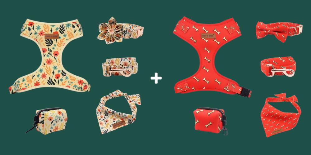 Best Dog Accessorize: Bandanas, Harness, Collars & Leashes – Sniff & Bark